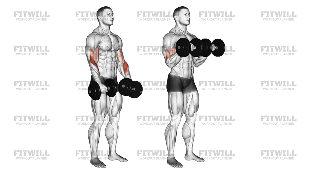 Ultimate Dumbbell Arm Workout: Build Strength and Definition | Workout ...