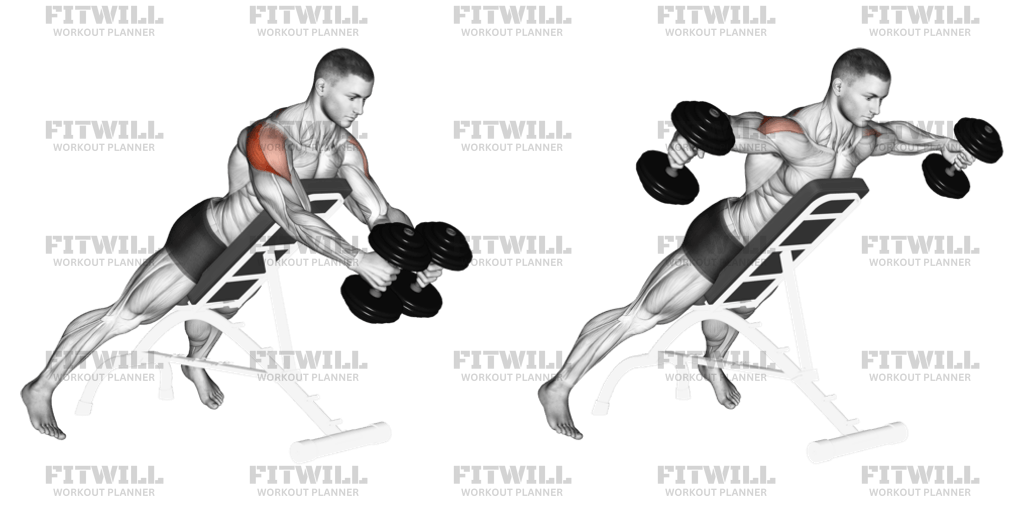 Dumbbell Reverse Fly: Exercise Guide, Video, Techniques, Benefits, How ...