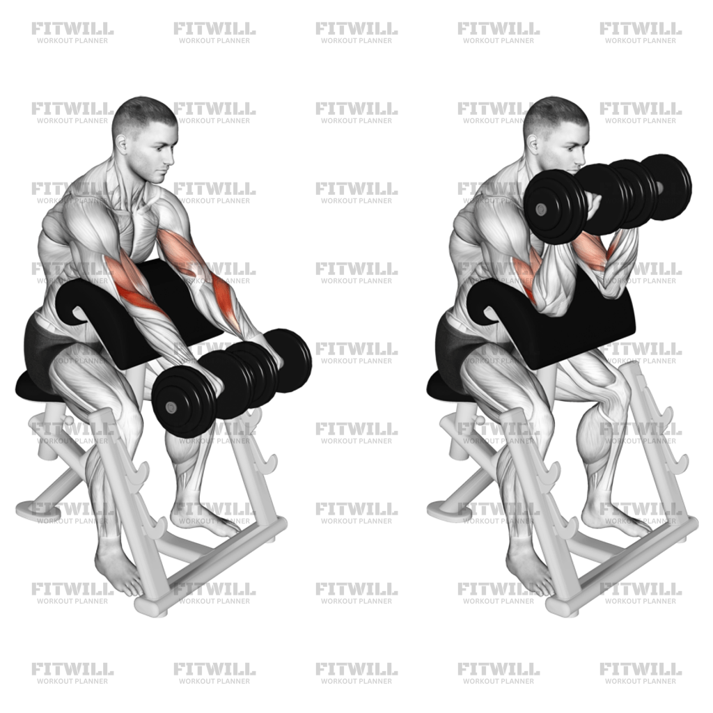 Dumbbell Reverse Preacher Curl: Exercise Guide, Video, Techniques ...