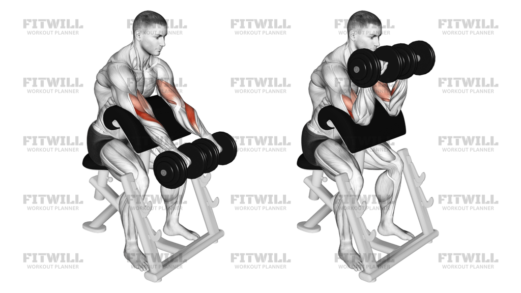 Dumbbell Reverse Preacher Curl: Exercise Guide, Video, Techniques ...