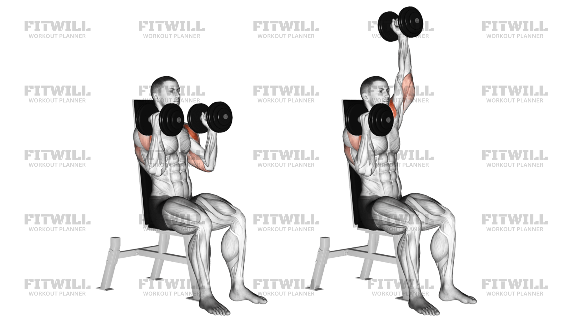 Dumbbell Seated Alternate Press: Exercise Guide, Video, Techniques ...