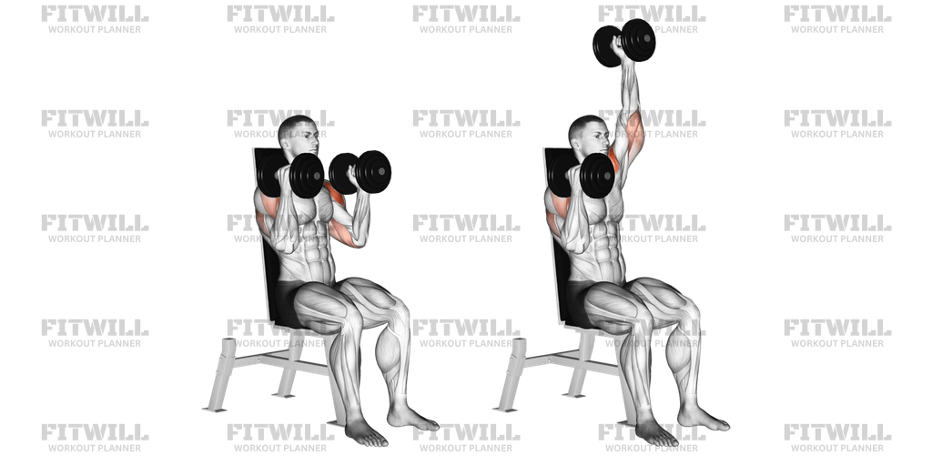 Dumbbell Seated Alternate Press: Exercise Guide, Video, Techniques ...
