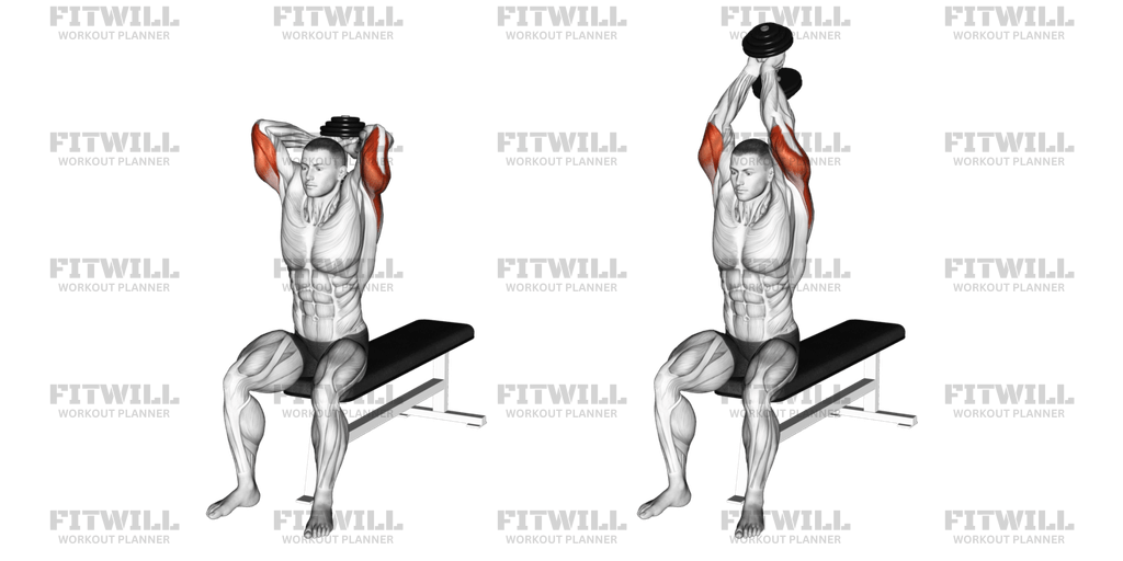 Dumbbell Seated Bench Extension: Exercise Guide, Video, Techniques ...
