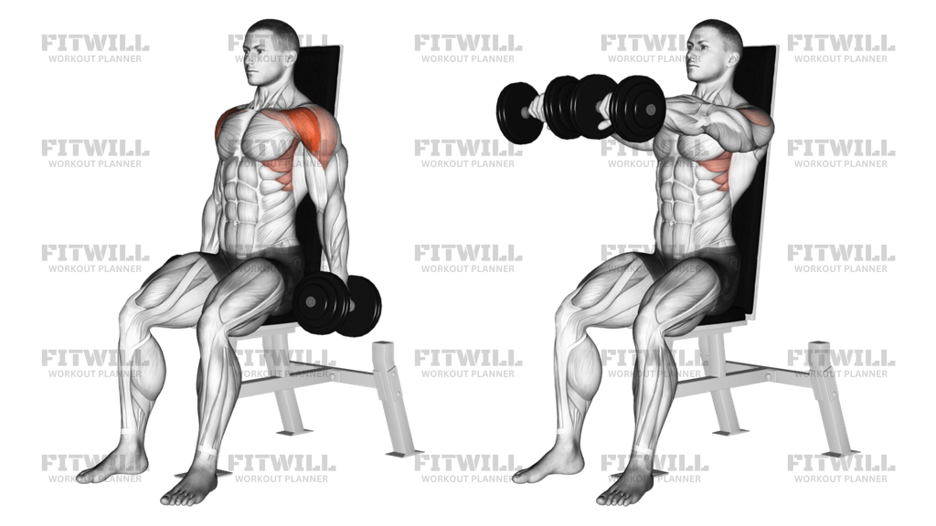 Dumbbell Seated Front Raise: Exercise Guide, Video, Techniques ...