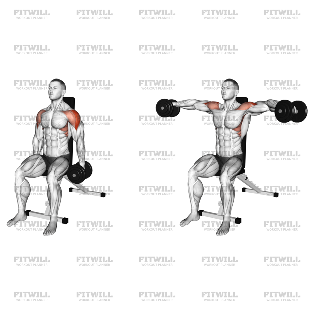 Sittende Hantel Sidehev (versjon 2): Treningsguide, Video, Teknikk ...