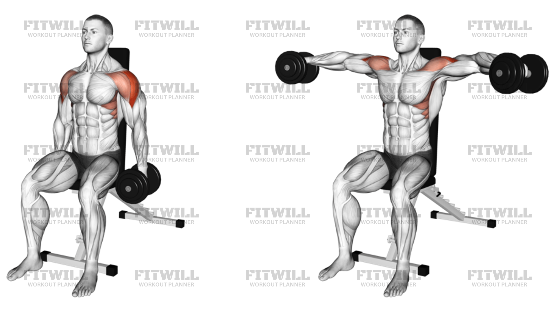 Dumbbell Seated Lateral Raise Version 2: Exercise Guide, Video ...