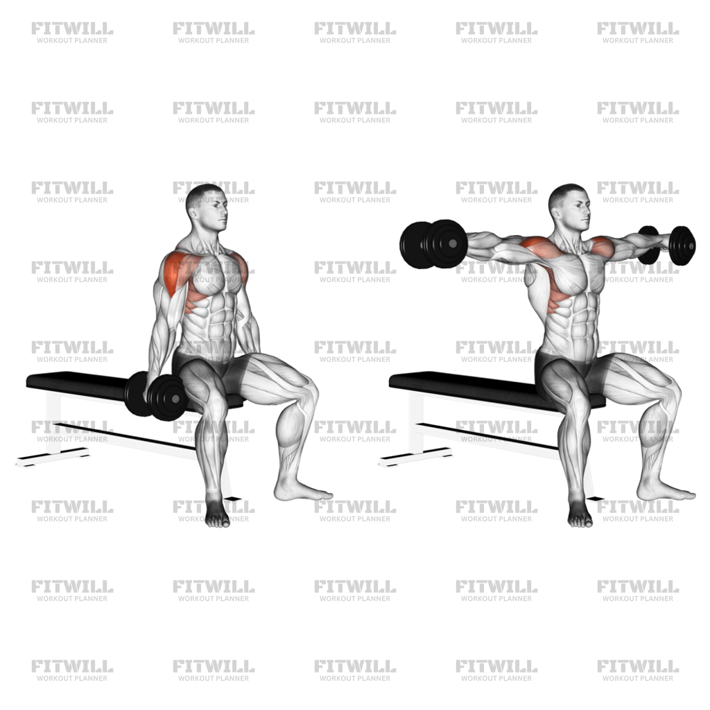 Sitzendes Seitheben Mit Kurzhanteln: Übungsanleitung, Video, Techniken ...