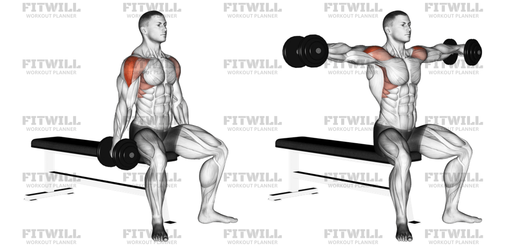 Elevação Lateral Sentado Com Halteres: Guia de Exercício, Vídeo ...