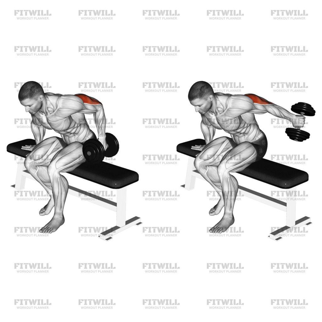 Dumbbell Seated One Arm Kickback: Exercise Guide, Techniques, Benefits ...