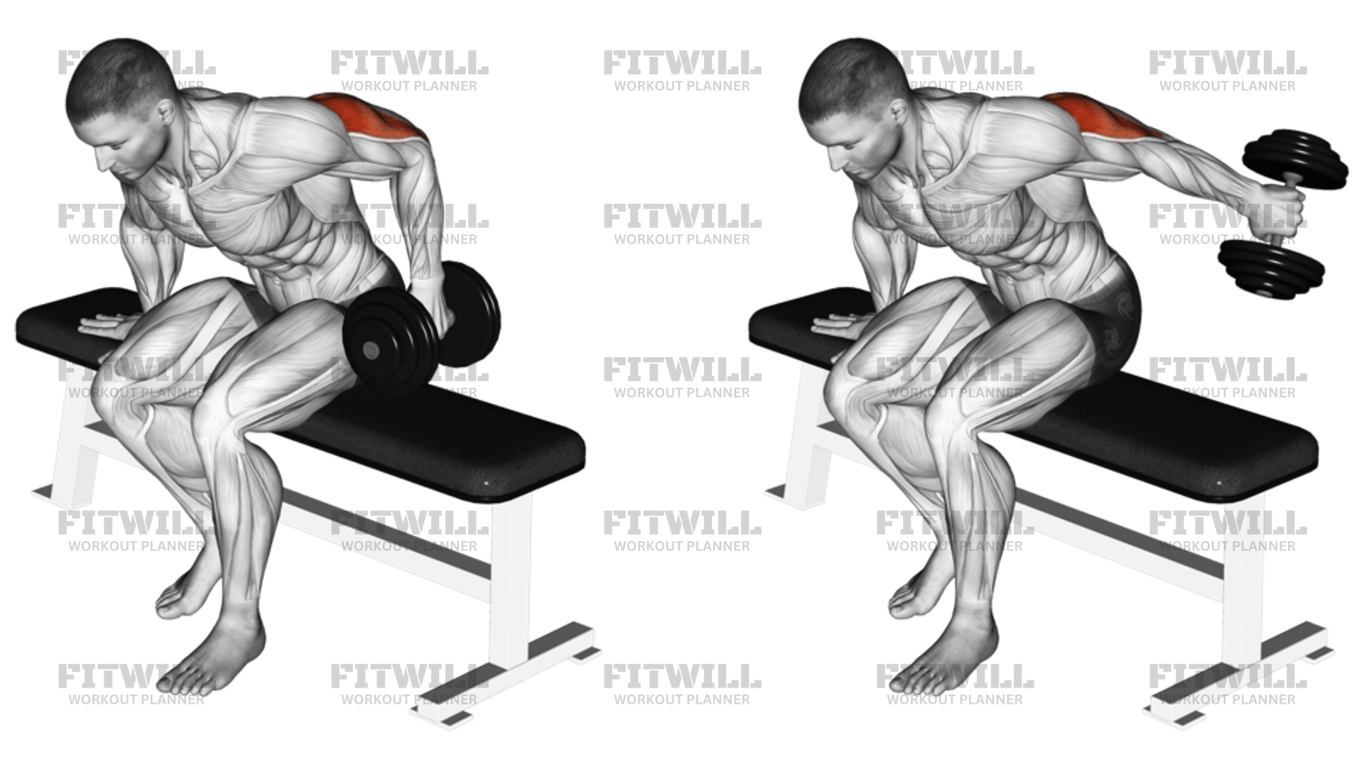 Dumbbell Seated One Arm Kickback: Exercise Guide, Techniques, Benefits ...
