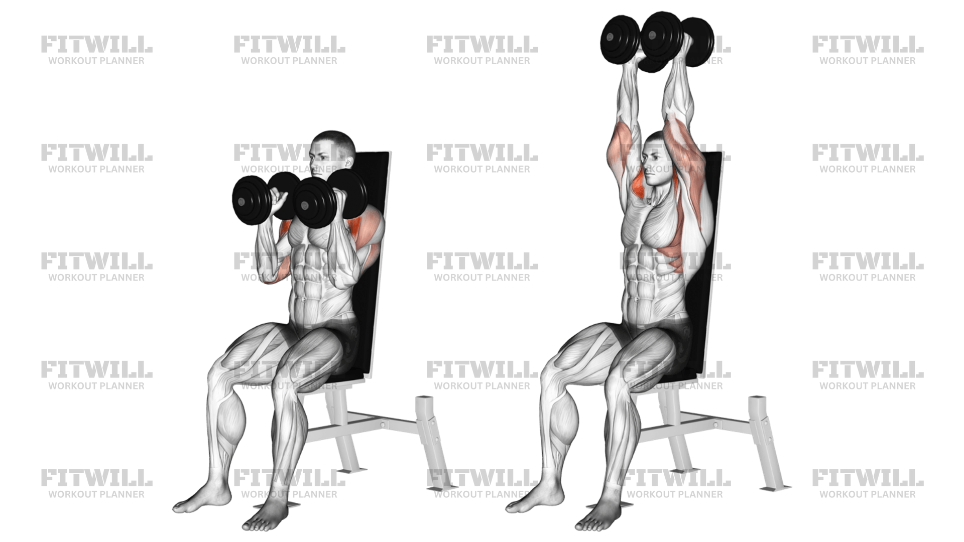Dumbbell Seated Shoulder Press (parallel Grip): Exercise Guide, Video ...