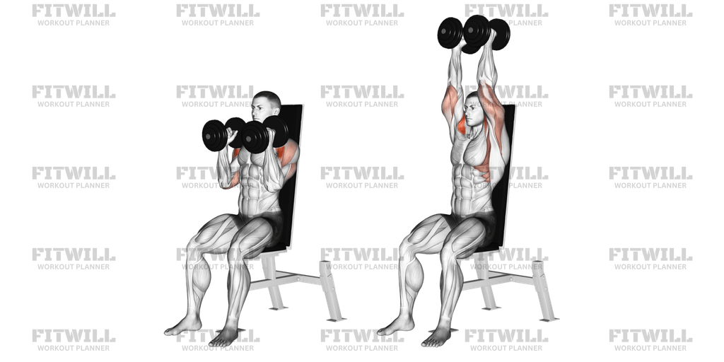 Dumbbell Seated Shoulder Press (parallel Grip): Exercise Guide, Video ...