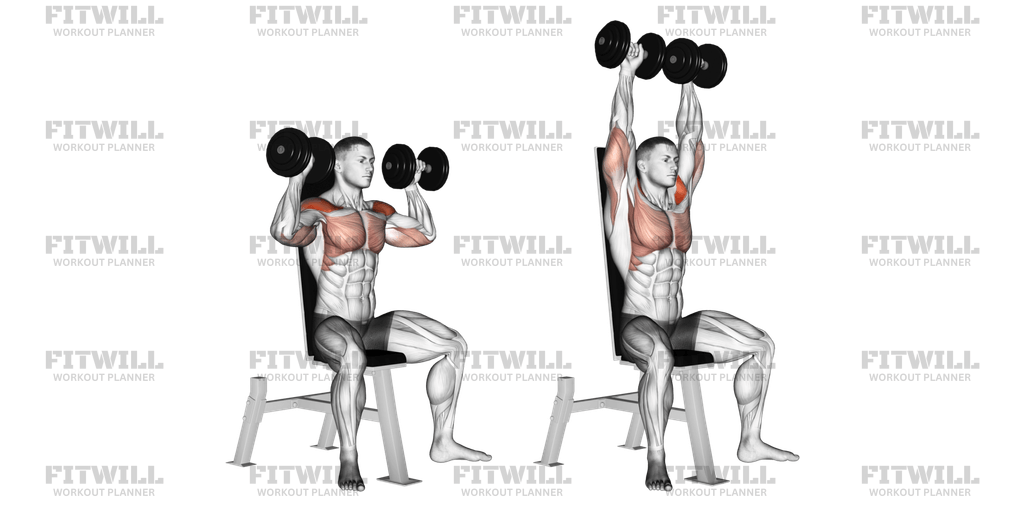 Dumbbell Seated Shoulder Press: Exercise Guide, Video, Techniques, Benefits, How to, Muscles ...