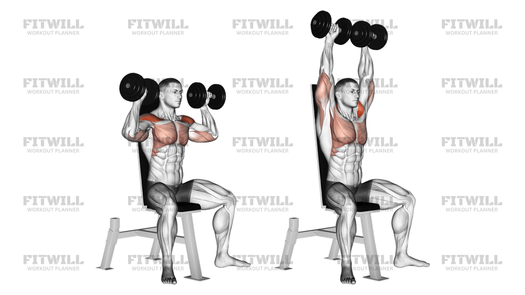 Press De Hombros Sentado Con Mancuernas: Guía de Ejercicios, Video ...