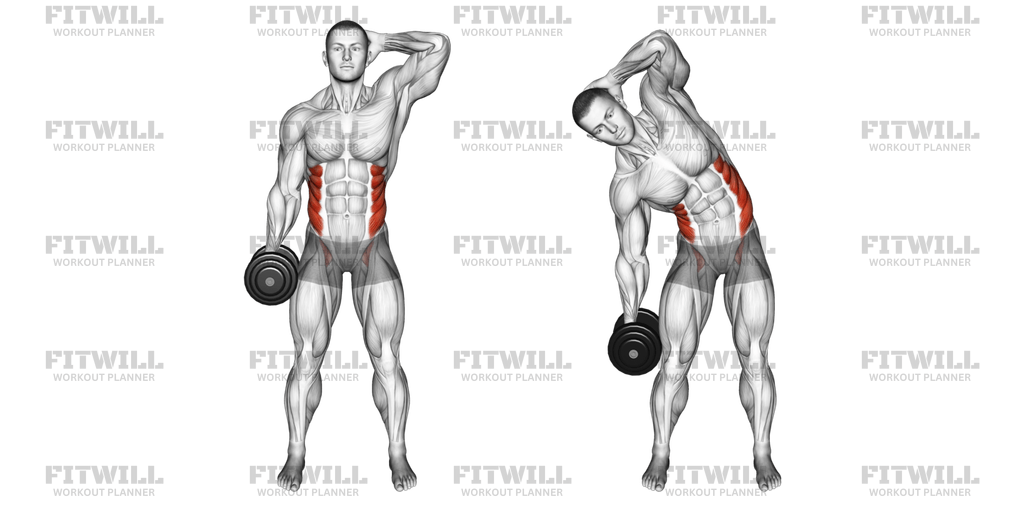 Dumbbell Side Bend: Exercise Guide, Video, Techniques, Benefits, How to ... Dumbbell Side Bend: Exercise Guide, Video, Techniques, Benefits, How to ...