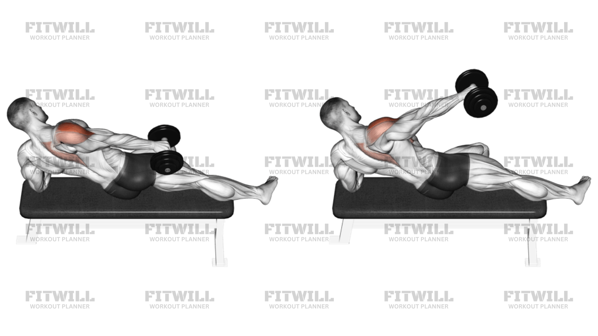 Elevación Lateral Con Mancuerna Acostado De Lado: Guía de Ejercicios ...