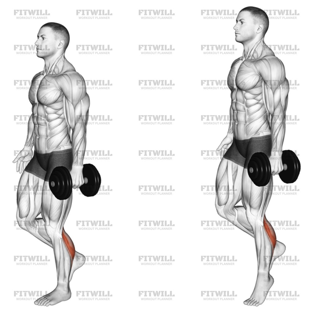 Dumbbell Single Leg Calf Raise - L: Exercise Guide, Video, Techniques ...