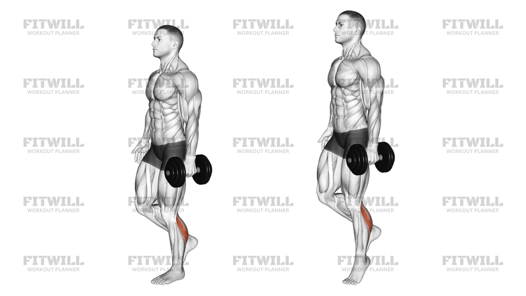 Dumbbell Single Leg Calf Raise - L: Exercise Guide, Video, Techniques ...