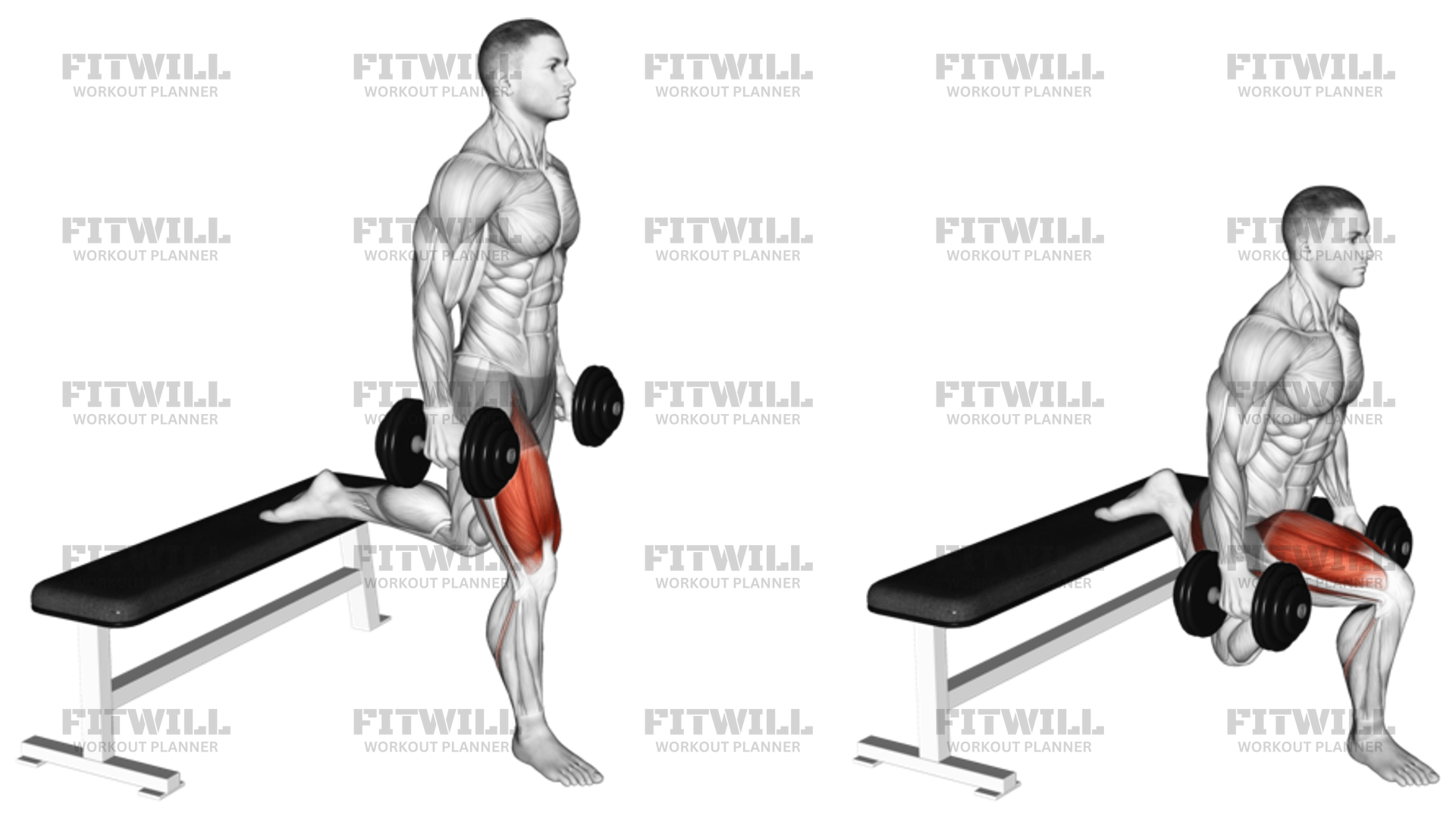 Dumbbell Single Leg Split Squat: Exercise Guide, Video, Techniques ...