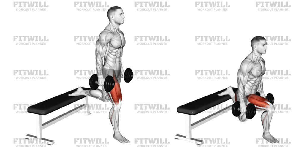 Dumbbell Single Leg Split Squat: Exercise Guide, Video, Techniques ...
