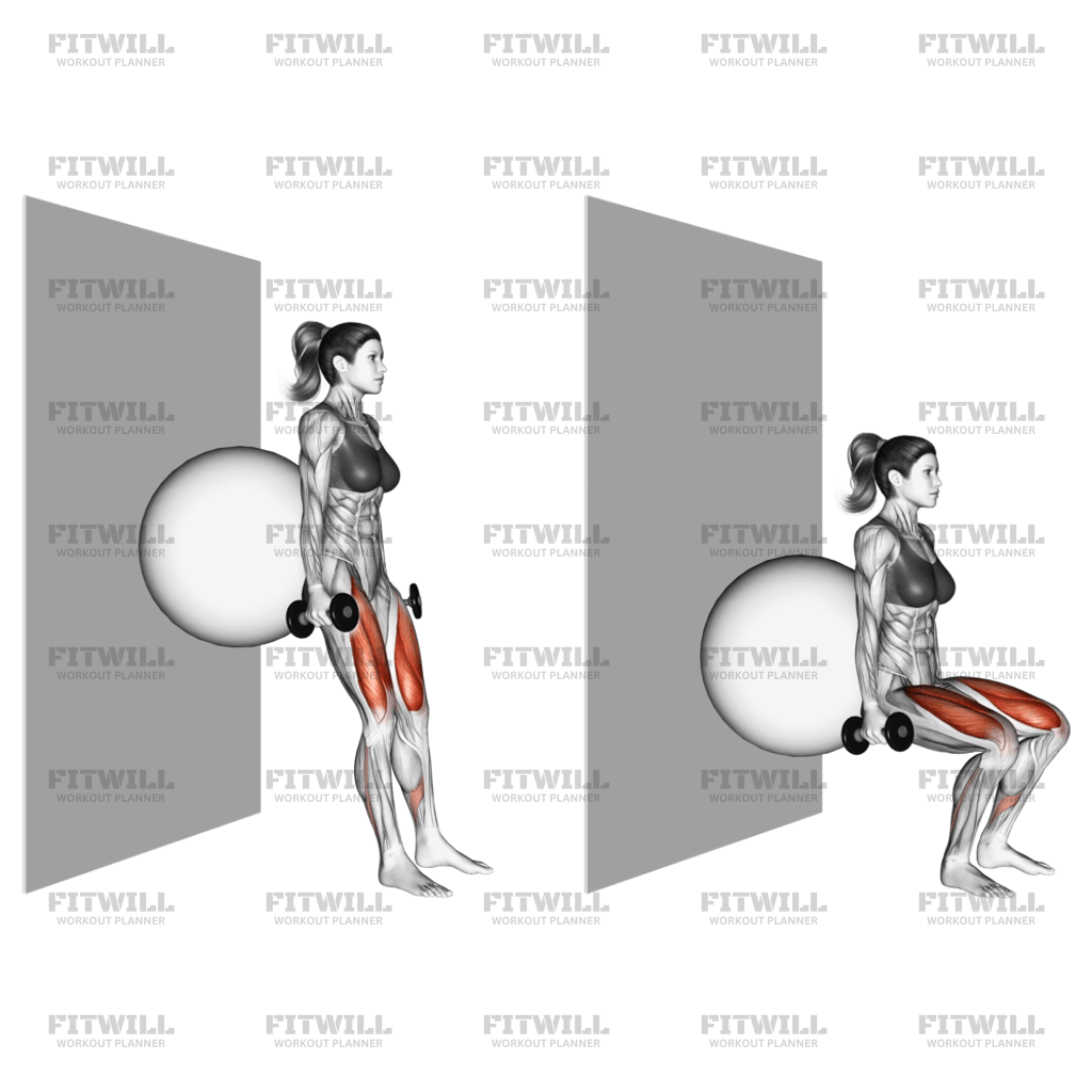 Dumbbell Squat (back On Stability Ball Wall): Exercise Guide ...