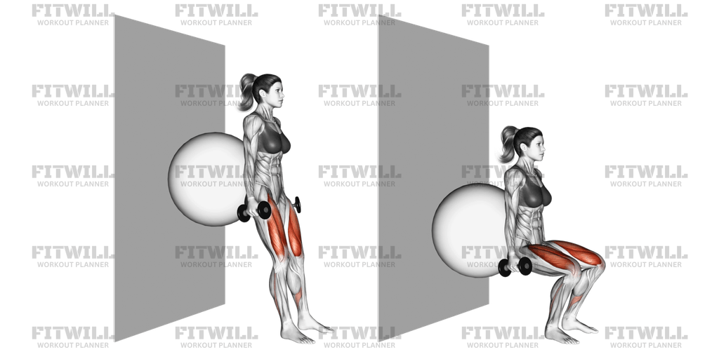 Dumbbell Squat (back On Stability Ball Wall): Exercise Guide ...