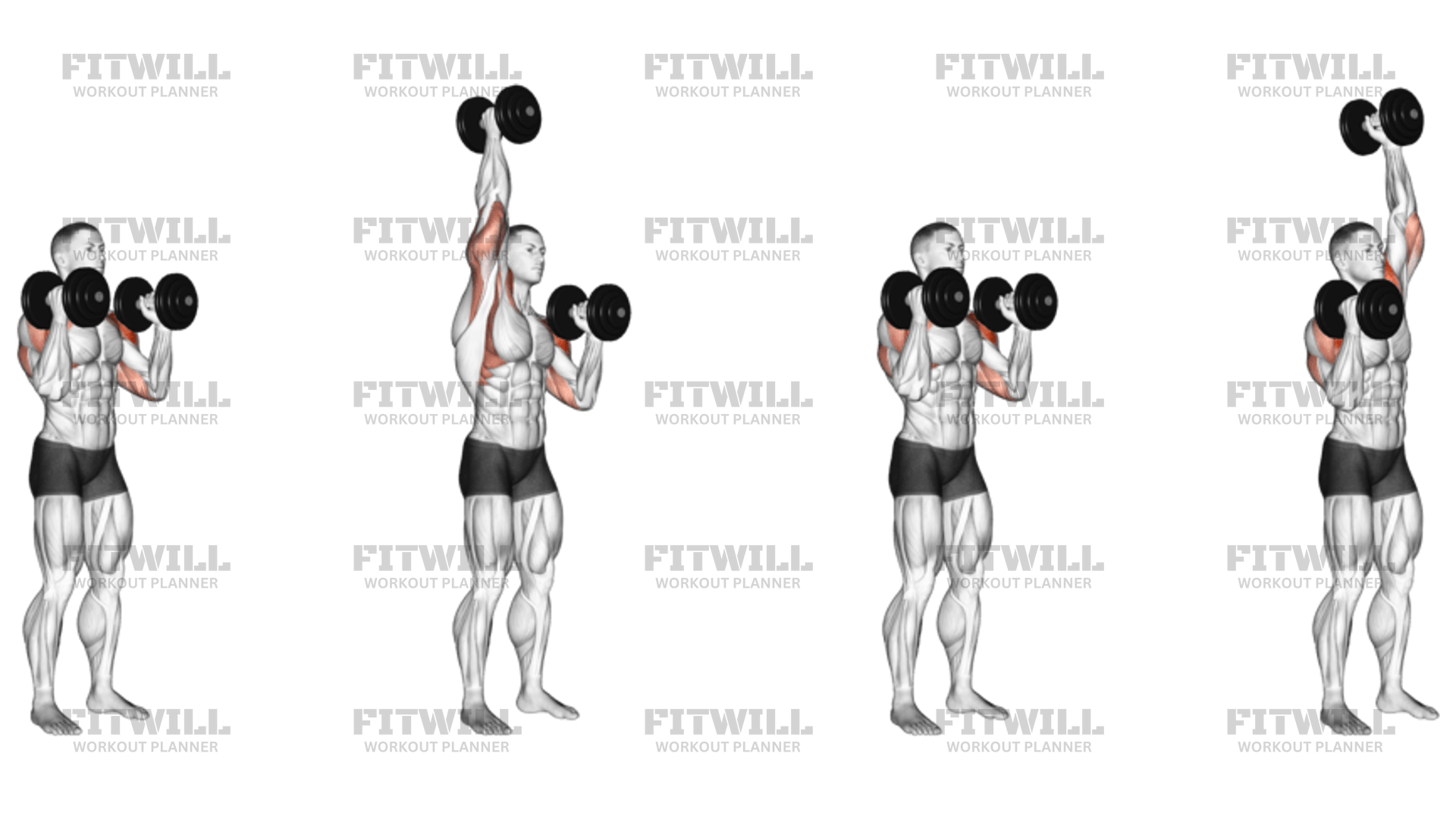 Dumbbell Standing Alternate Overhead Press: Exercise Guide, Video ...