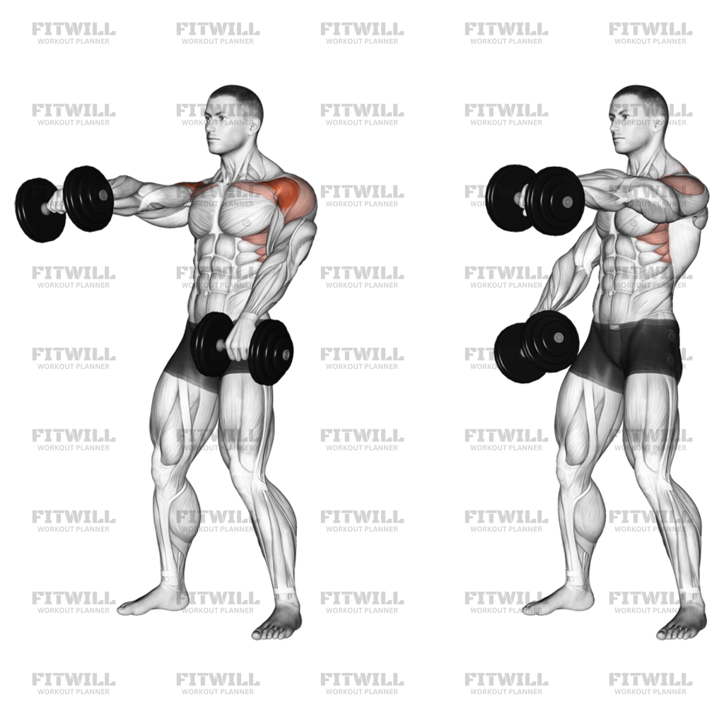 Dumbbell Standing Alternate Raise: Exercise Guide, Video, Techniques, Benefits, How to, Muscles ...