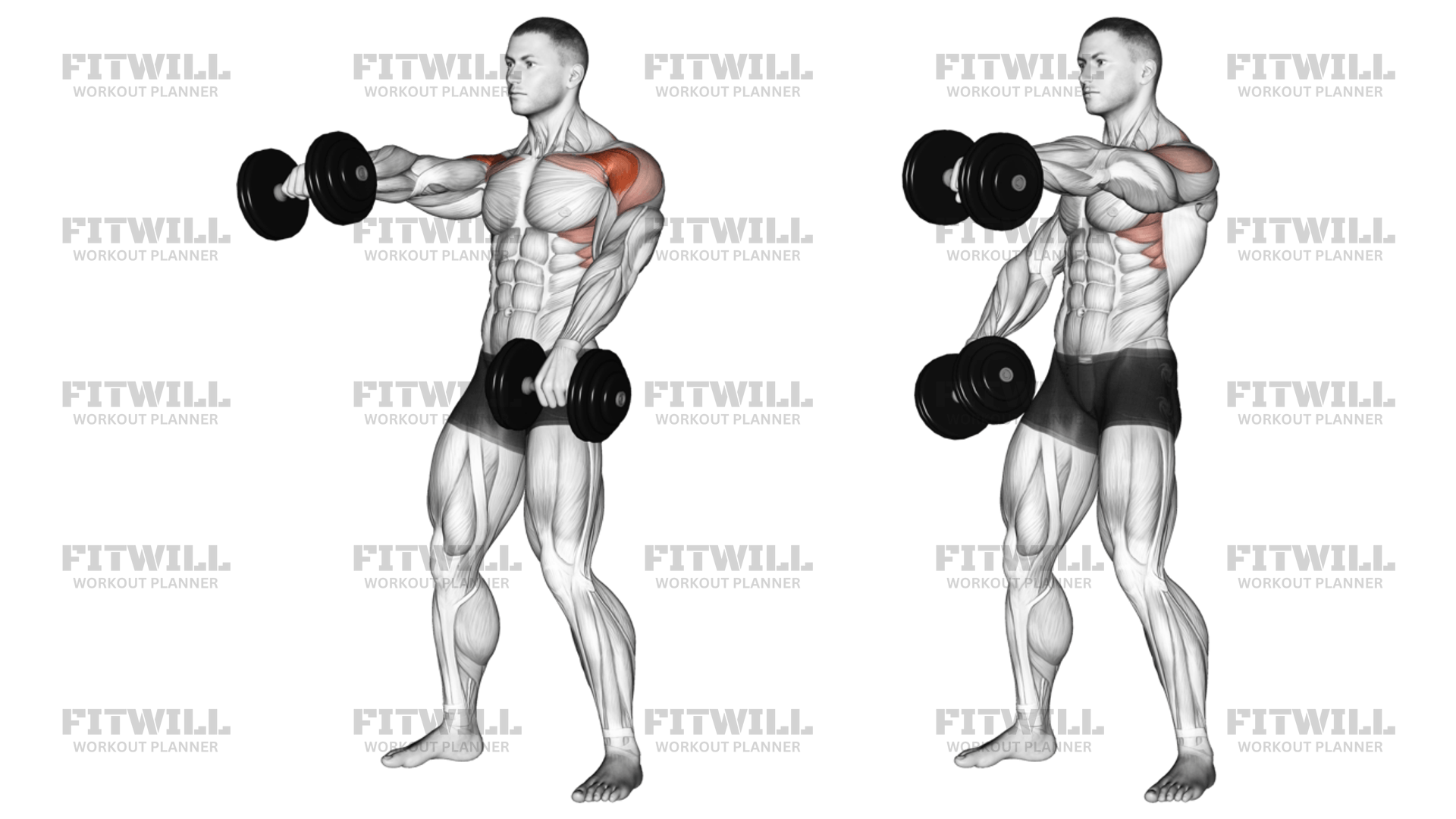 Dumbbell Standing Alternate Raise: Exercise Guide, Video, Techniques ...