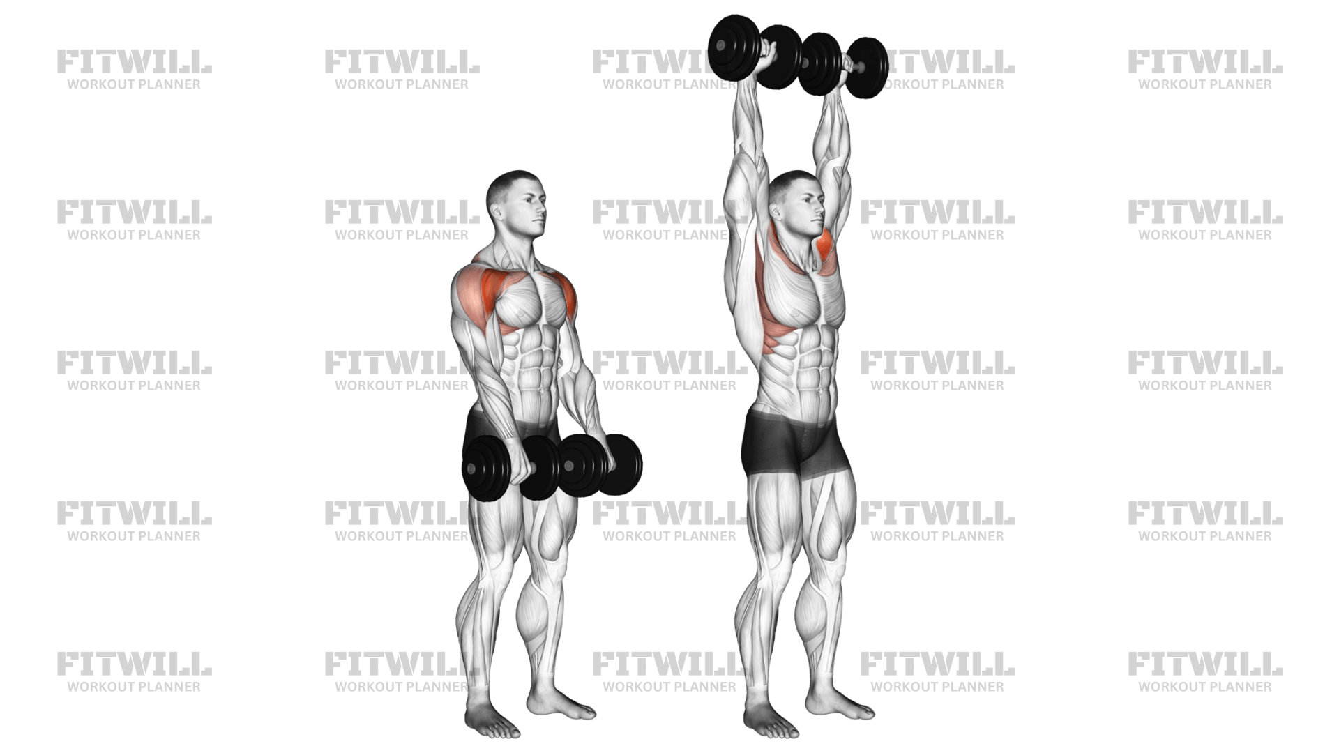 Dumbbell Standing Front Raise Above Head: Exercise Guide, Video ...