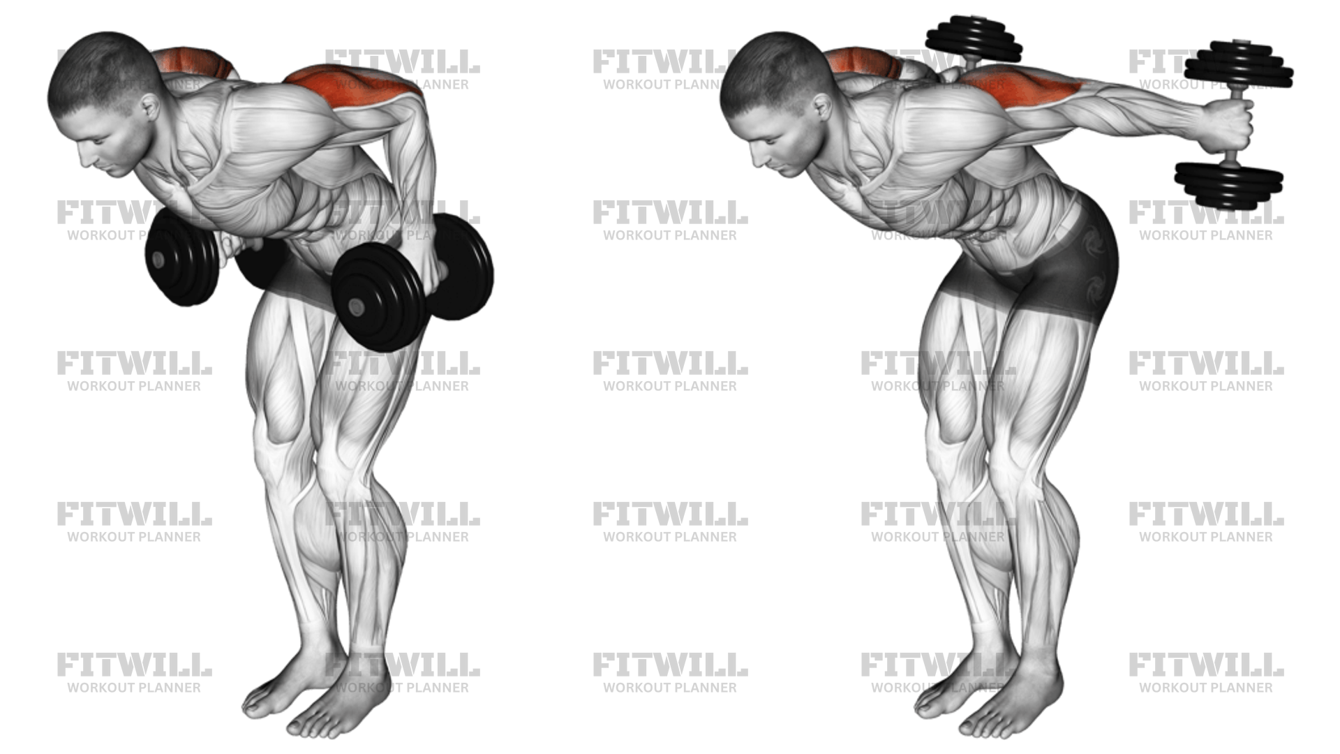 Patada De Tríceps De Pie Con Mancuerna: Guía de Ejercicios, Video, Técnicas, Beneficios, Cómo ...