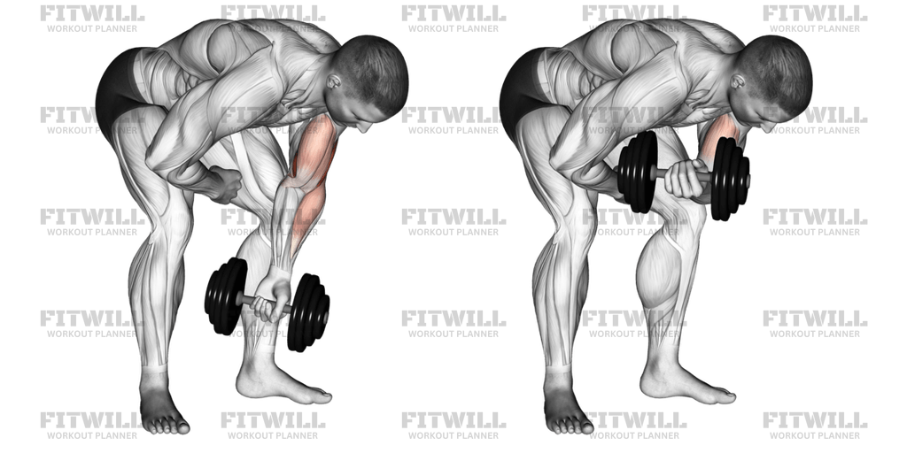 Dumbbell Standing One Arm Concentration Curl: Exercise Guide, Video ...
