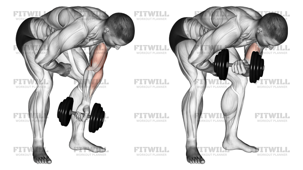 Dumbbell Standing One Arm Concentration Curl: Exercise Guide, Video ...