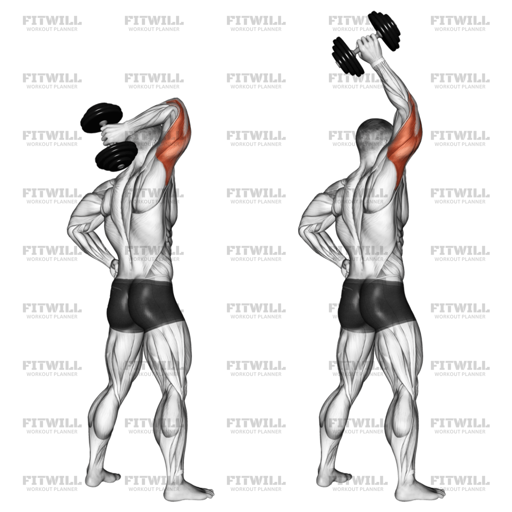 Dumbbell Standing One Arm Extension: Exercise Guide, Video, Techniques ...