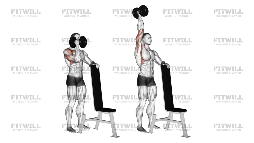 Dumbbell Standing One Arm Palm In Press: Exercise Guide, Techniques ...