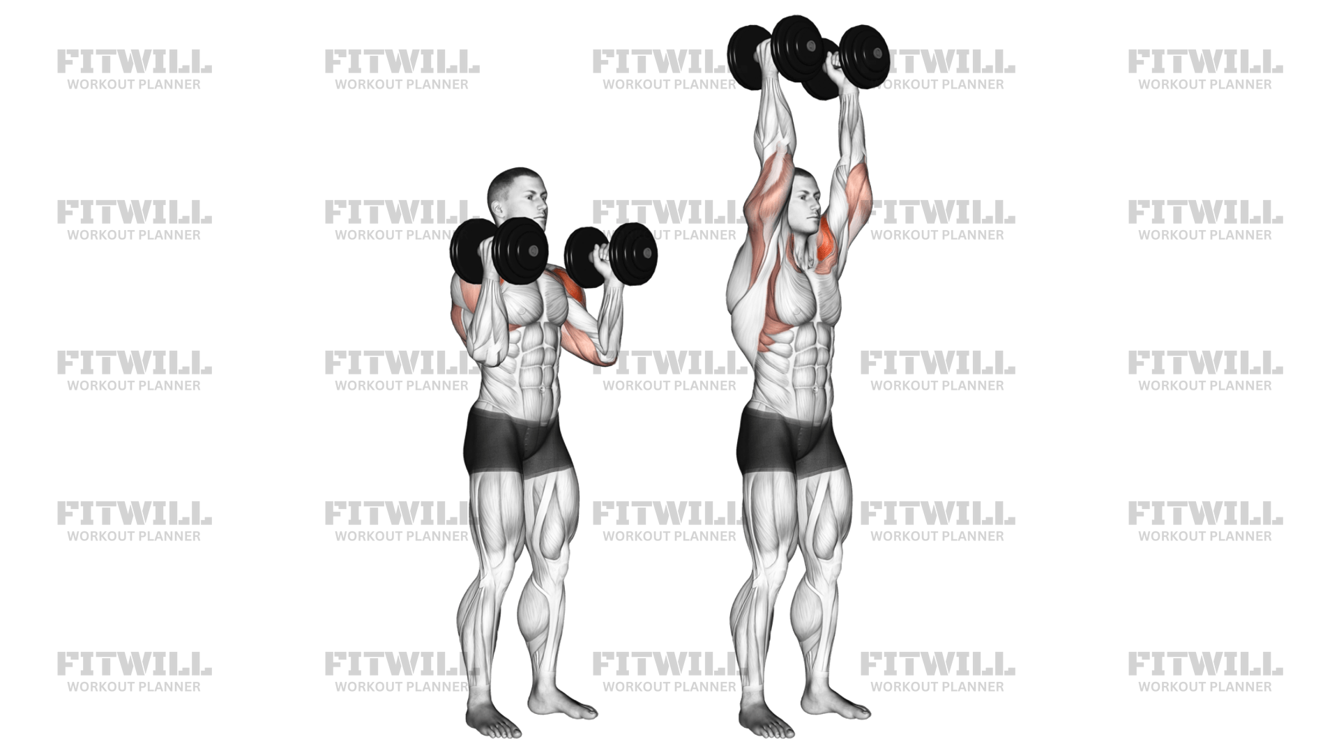 Dumbbell Standing Palms In Press: Exercise Guide, Video, Techniques, Benefits, How to, Muscles ...