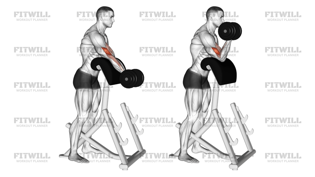 Dumbbell Standing Preacher Curl: Exercise Guide, Video, Techniques ...