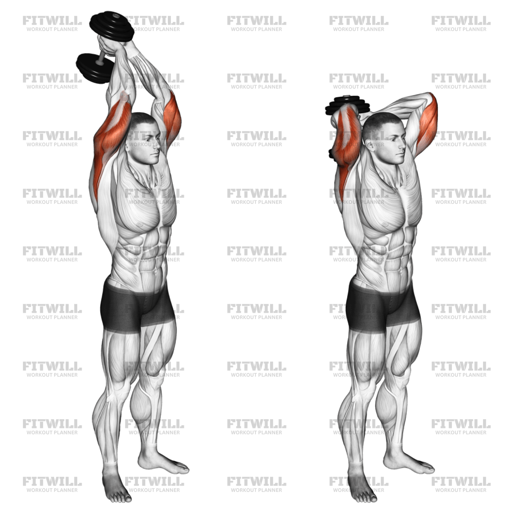 Dumbbell Standing Triceps Extension: Exercise Guide, Video, Techniques ...