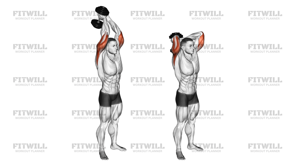 Dumbbell Standing Triceps Extension: Exercise Guide, Video, Techniques ...