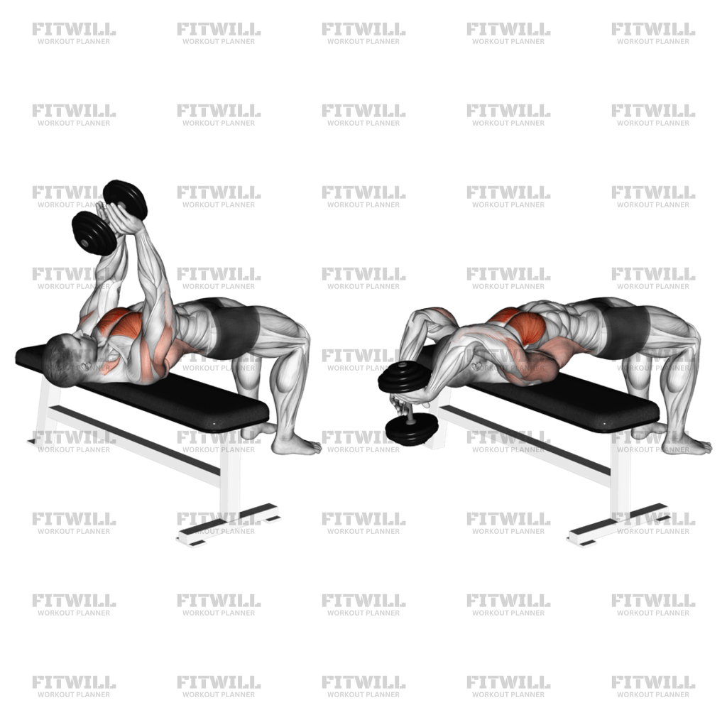 Dumbbell Straight Arm Pullover: Exercise Guide, Video, Techniques ...
