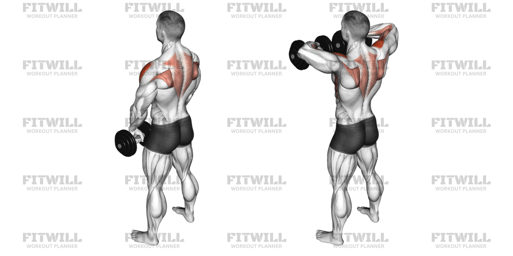 Dumbbell Upright Row: Exercise Guide, Video, Techniques, Benefits, How ...