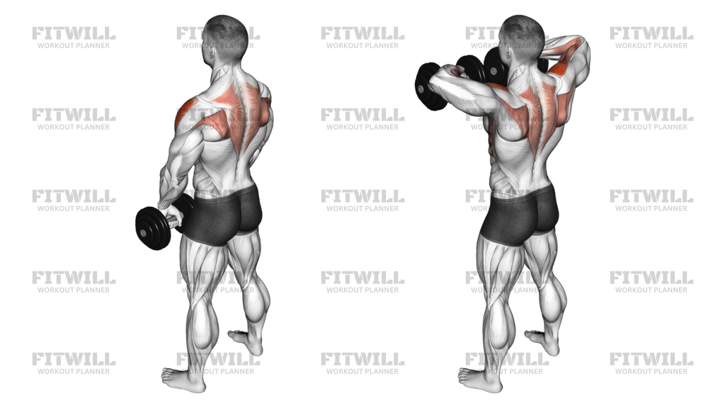 Dumbbell Upright Row: Exercise Guide, Video, Techniques, Benefits, How ...