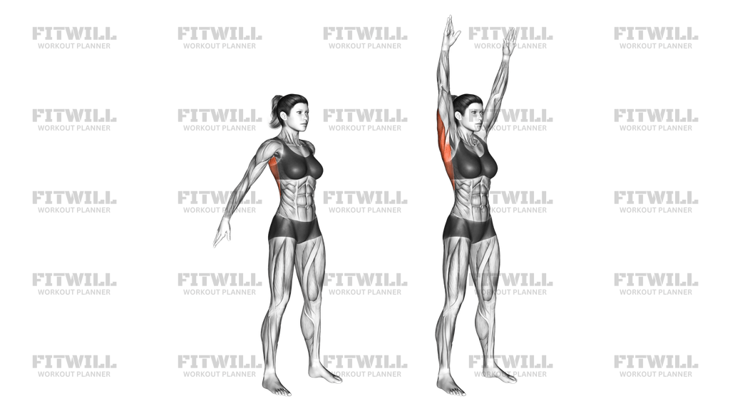 Dynamic Back Stretch: Exercise Video | Fitwill