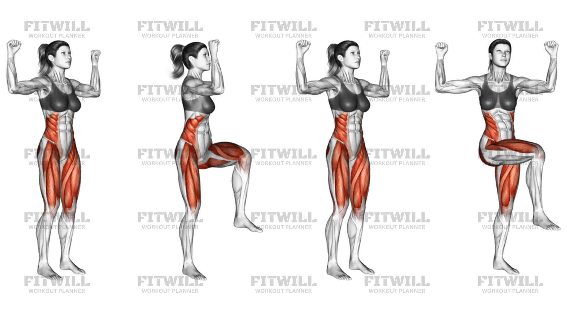 Elbow-to-Knee Twists: Exercise Guide, Techniques, Benefits, How to ...
