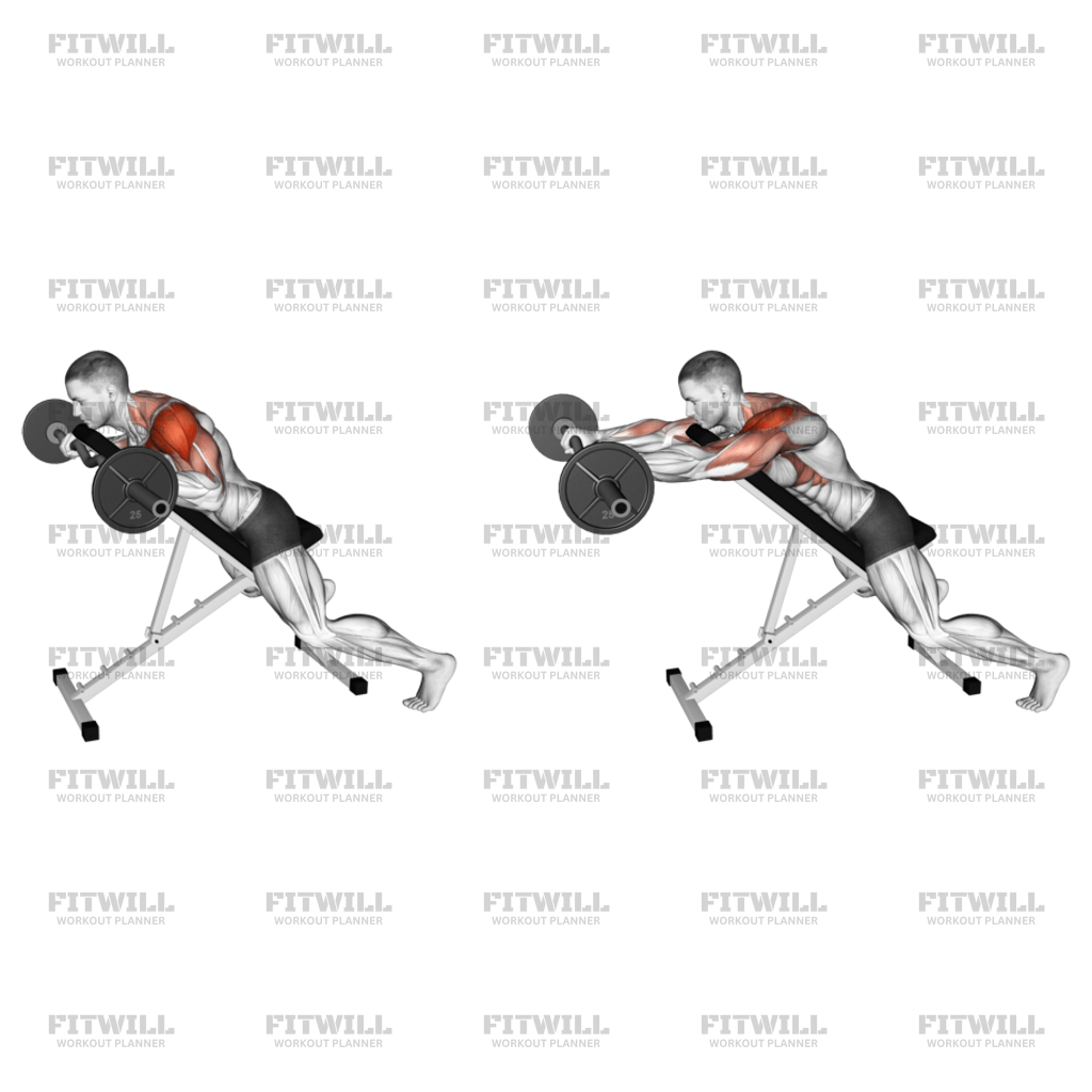 EZ Barbell Anti Gravity Press: Exercise Guide, Video, Techniques ...