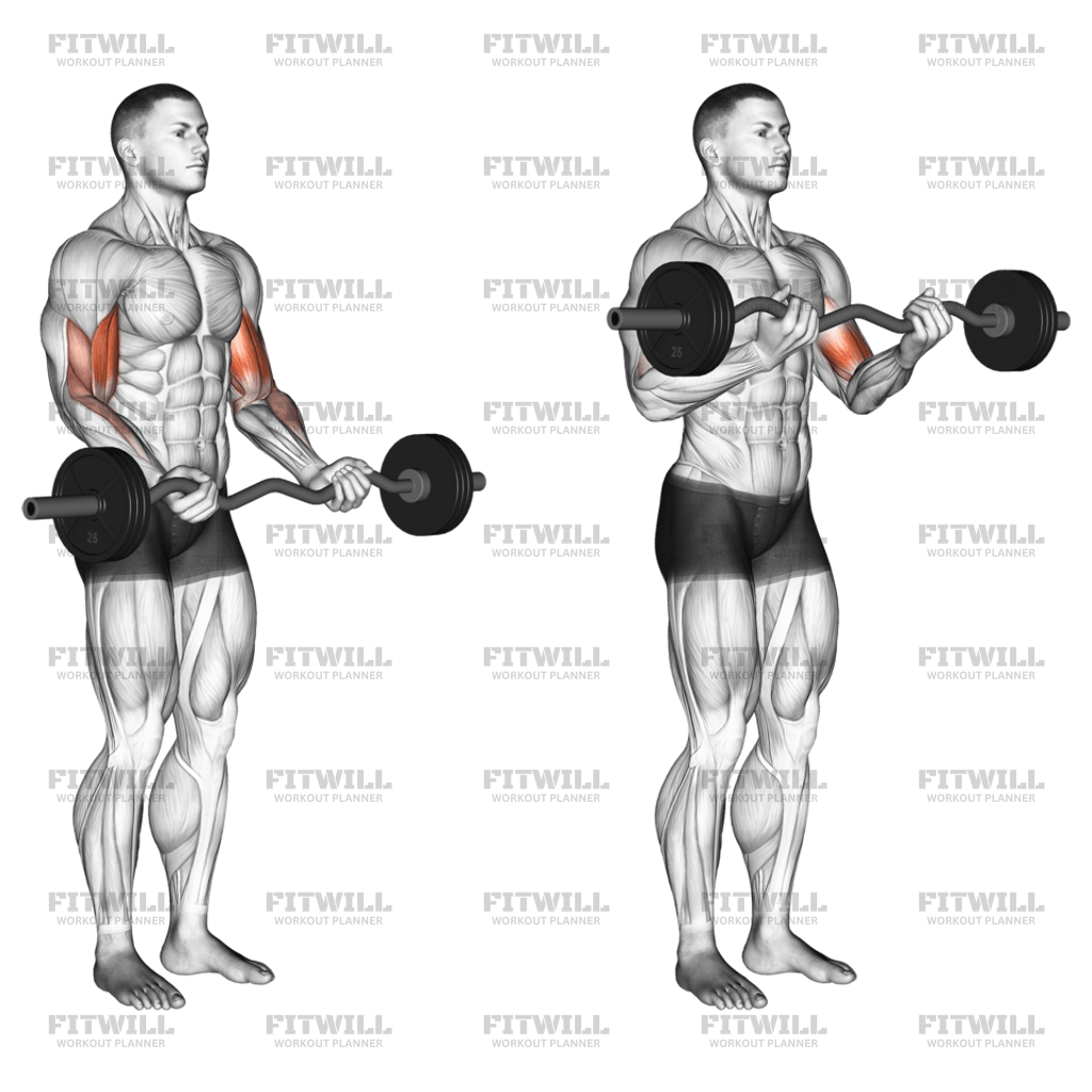 Ultimate Arm Builder: EZ Barbell & Dumbbell Workout for Biceps ...