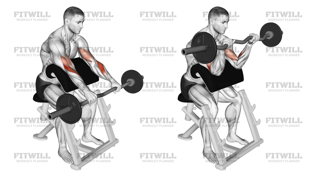 EZ Barbell Reverse Grip Preacher Curl: Exercise Guide, Video ...