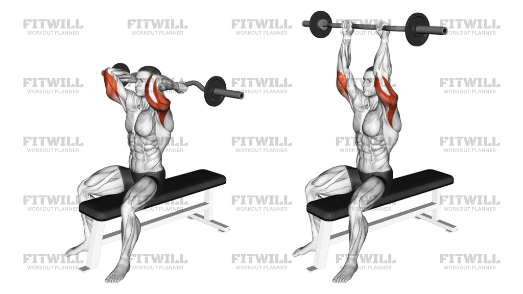 EZ Barbell Seated Triceps Extension: Exercise Guide, Video, Techniques ...