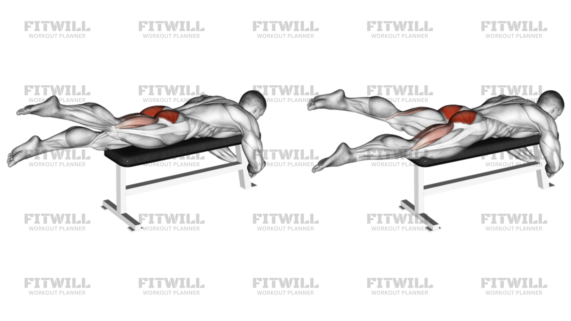 Flutter Kicks: Exercise Guide, Video, Techniques, Benefits, How to ...