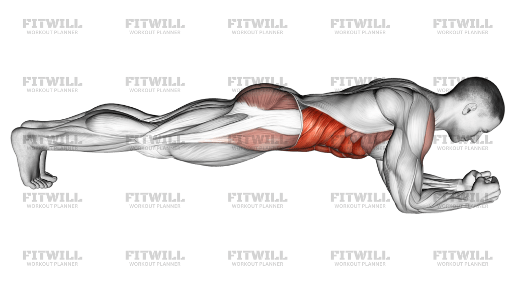 Front Plank: Exercise Guide, Video, Techniques, Benefits, How to ...